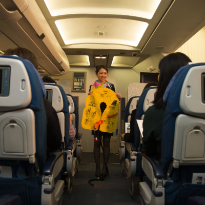 Flight Attendants & Pursers - Occupations - VTC Occupation Dictionary